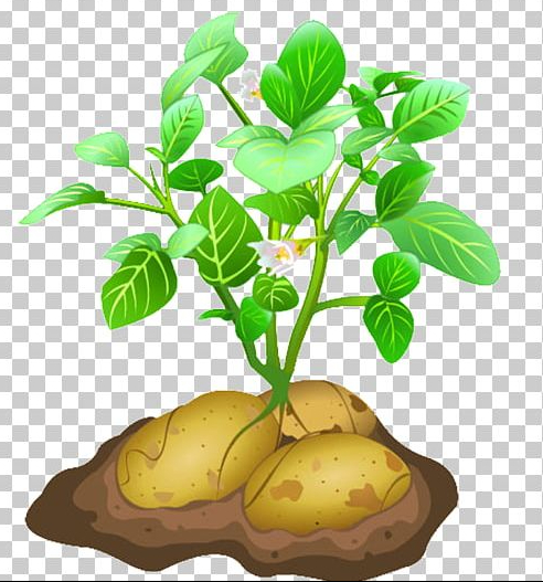 Tell Me a Story about … the Moon! | legaciesletloose